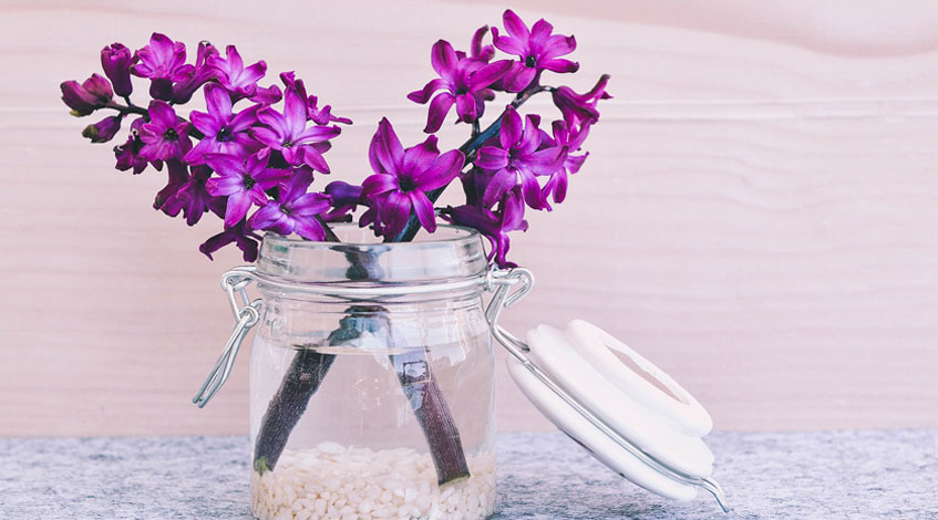 Etiqueta de un baby shower – ¿Flores si o flores no? - El Blog de ...